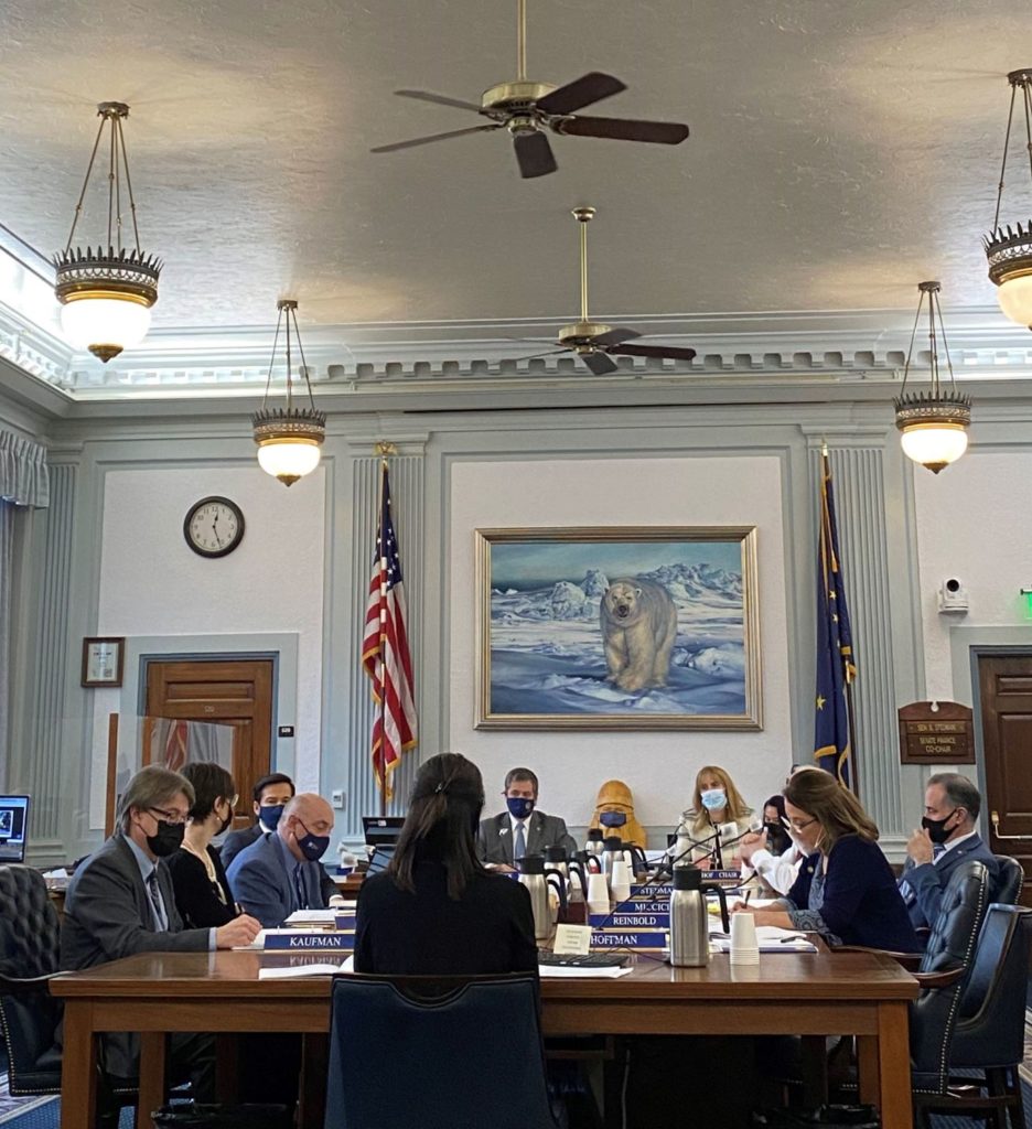 Audit Oversight Framework - Sen. James Kaufman